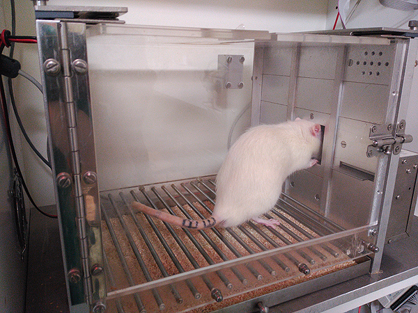 Nalmefeno es muy potente por vía subcutánea