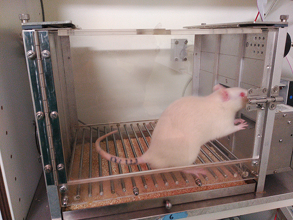 Nalmefeno es muy potente por vía subcutánea