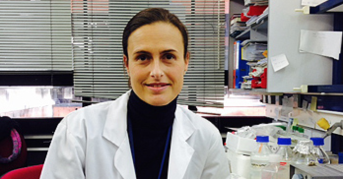 HMOs: nuevas perspectivas en alimentación infantil